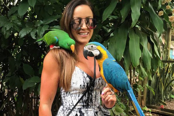 Home - Yeppoon Wildlife Sanctuary - Cooberrie Park Wildlife Sanctuary
